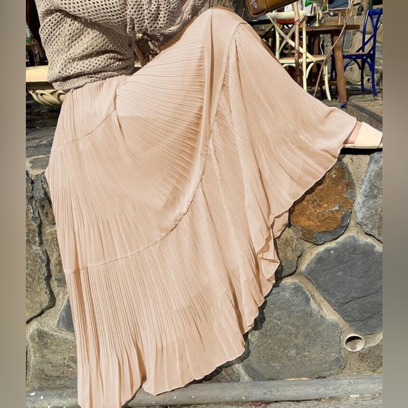 Skirts | Pleated Ruffle Skirt | Poshmark